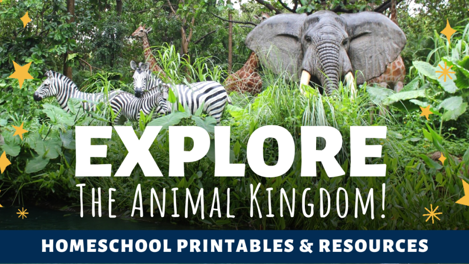 Explore The Animal Kingdom | The Homeschool Quest