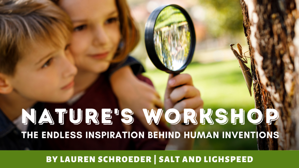 Nature's Workshop: The Endless Inspiration Behind Human Inventions ...