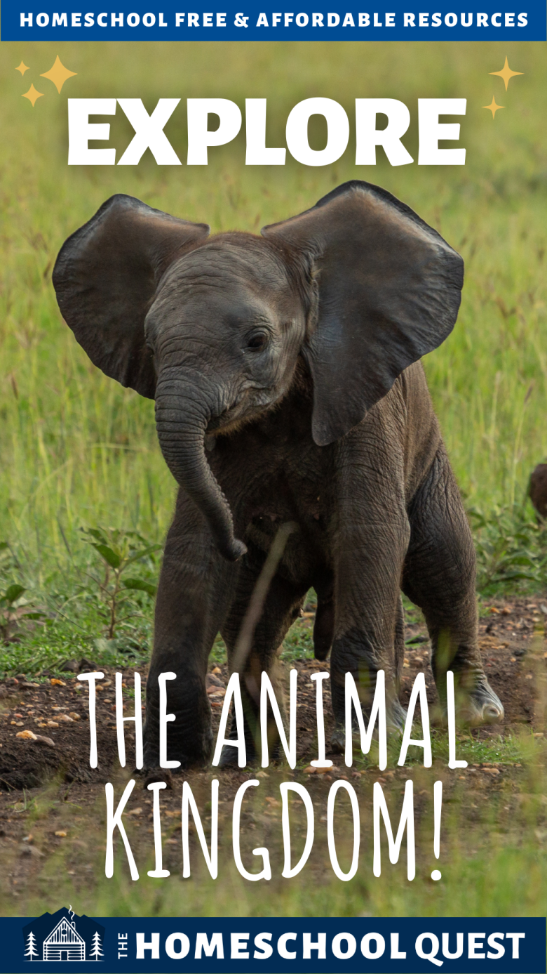 Explore The Animal Kingdom | The Homeschool Quest