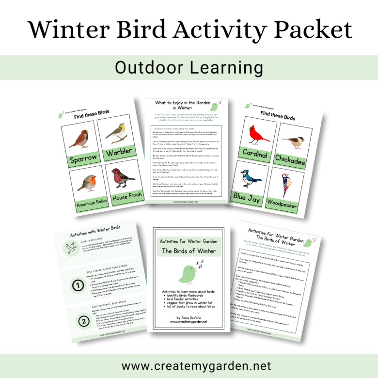 Master language arts With Nouns & Verbs Resources! | The Homeschool Quest